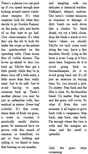 Nice, Clean Margins | Joseph Lezza – Occulum