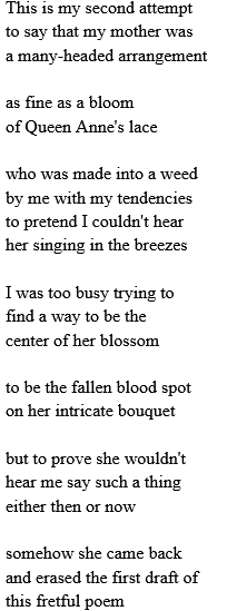 Near-Sighted – 𝙾 𝙲 𝙲 𝚄 𝙻 𝚄 𝙼